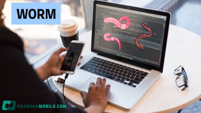Worm trên máy tính là gì? Cách nhận biết và khắc phục hiệu quả