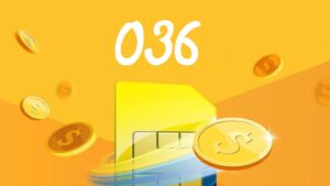 036 là mạng gì? Ý nghĩa đầu số 036? Cách mua sim 036 chính chủ