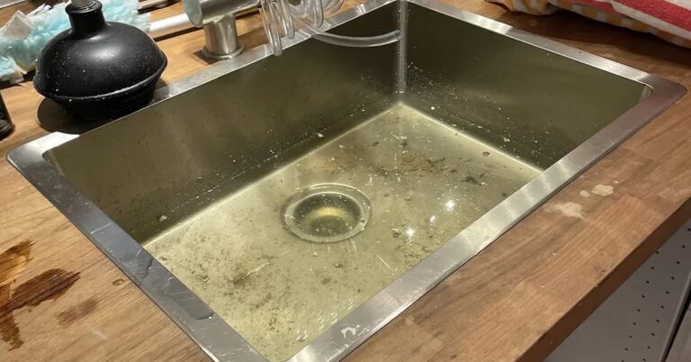 Nah I'd Win là gì? Chi tiết về phụ kiện mạnh nhất Meme Sea